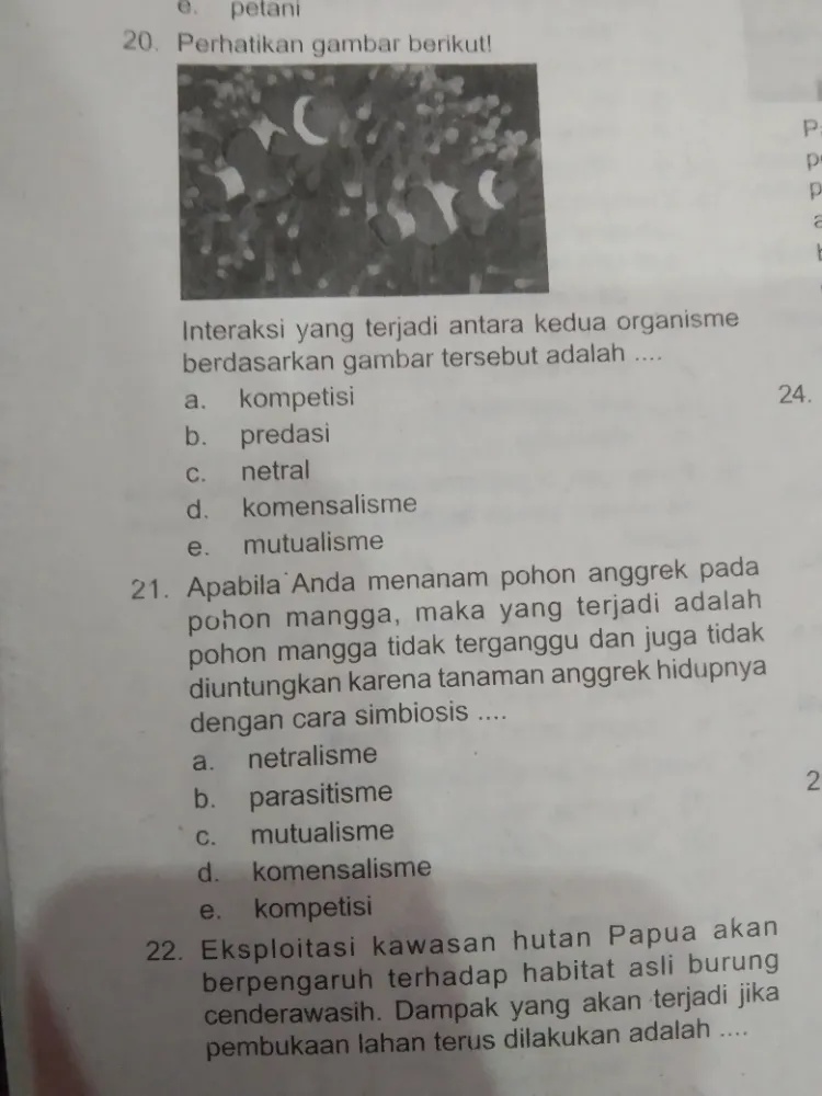 20. Perhatikan gambar berikut! Interaksi | StudyX