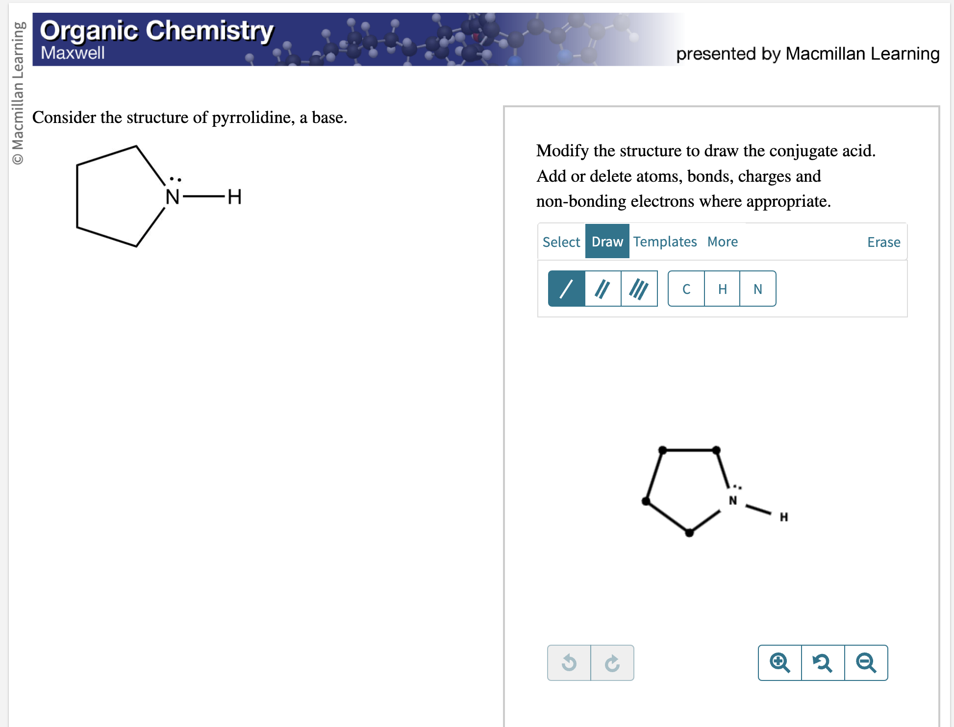 Consider the structure of pyrrolidine a base | StudyX