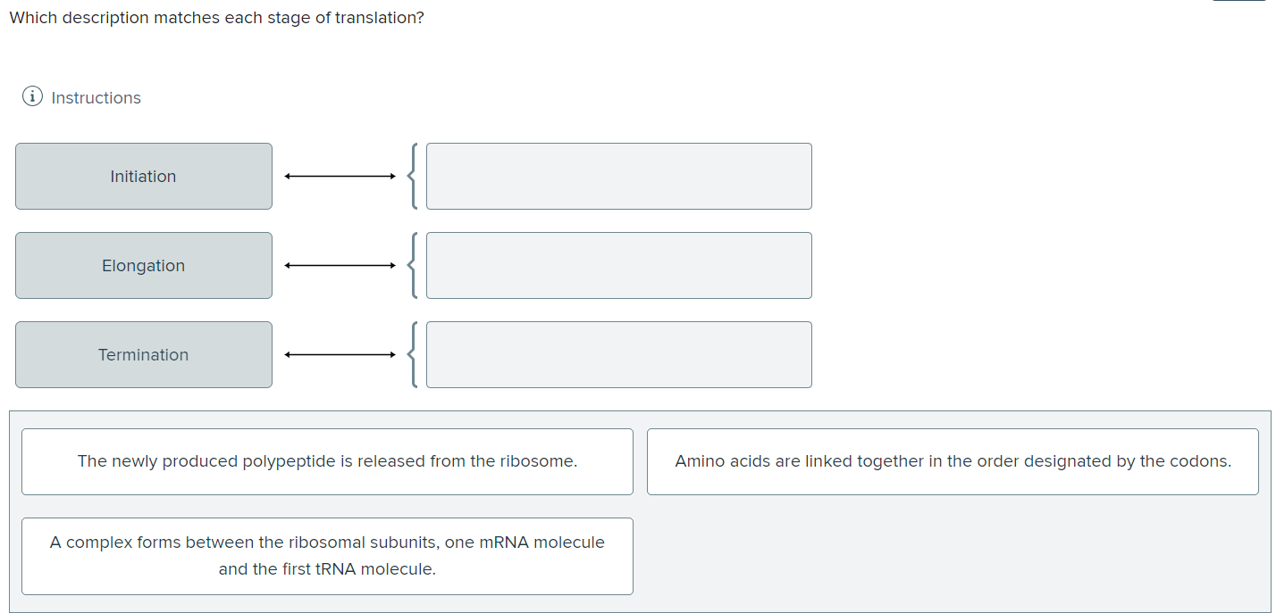 Which description matches each stage of | StudyX