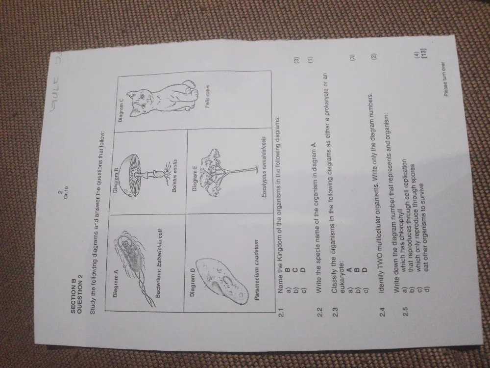 Study the following diagrams and answer the | StudyX