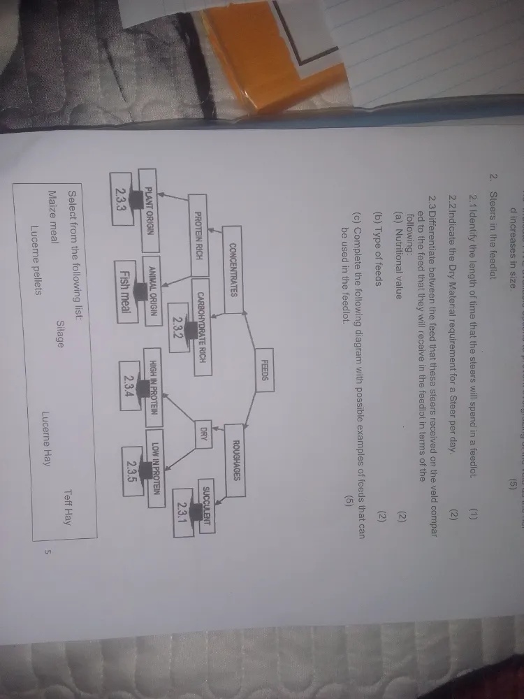 Complete the following diagram with possible | StudyX