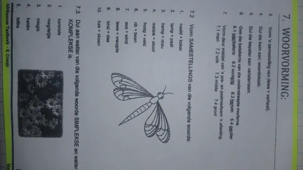 7 WOORVORMING 3 Vorm n samestelling van | StudyX
