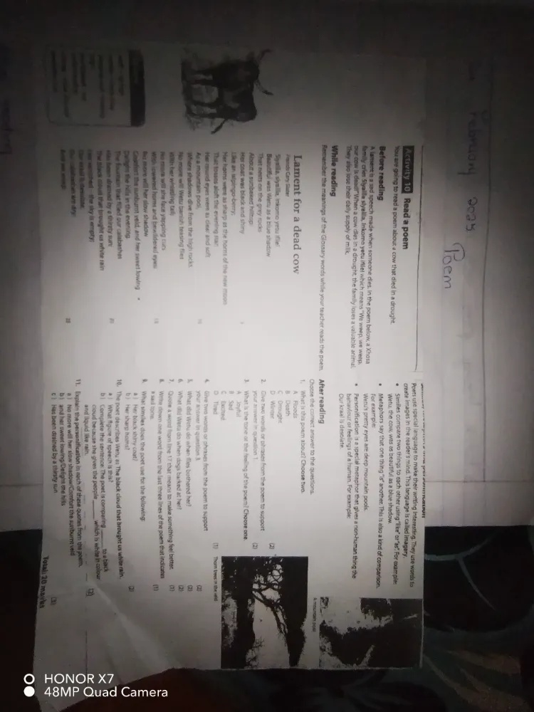 Lament for a dead cow Siyalila, siyalila, | StudyX