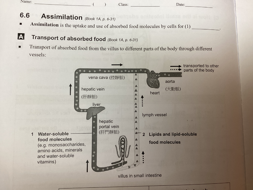 66 Assimilation (Book 1A p 6-31) | StudyX