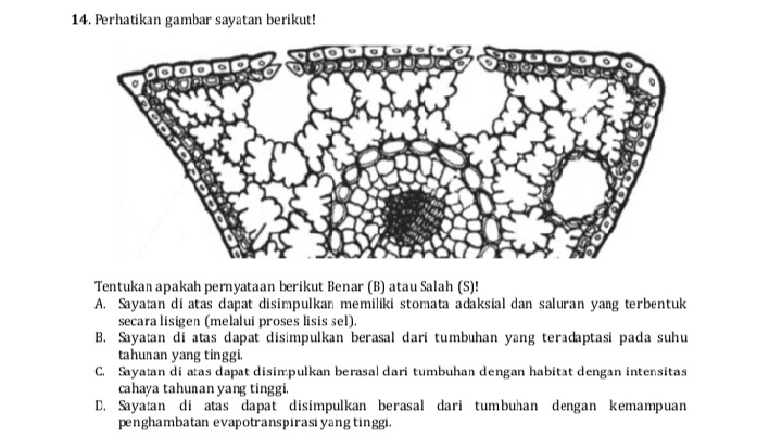 14 Perhatikan gambar sayatan berikut | StudyX