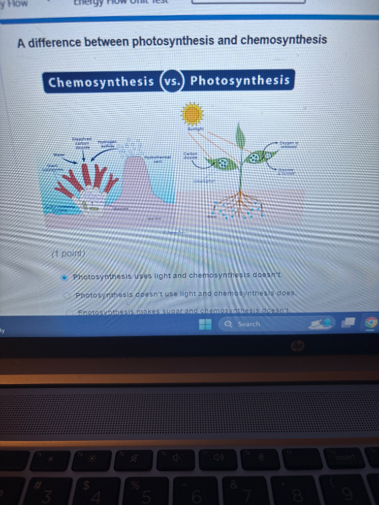 A difference between photosynthesis and | StudyX