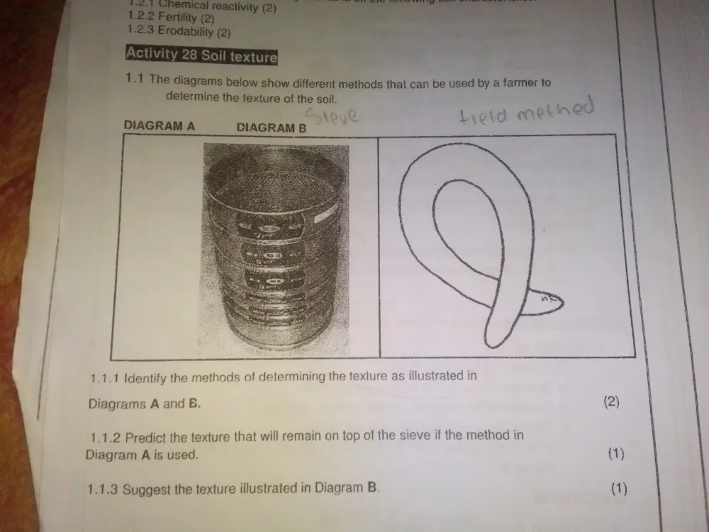 1.1 The diagrams below show different | StudyX