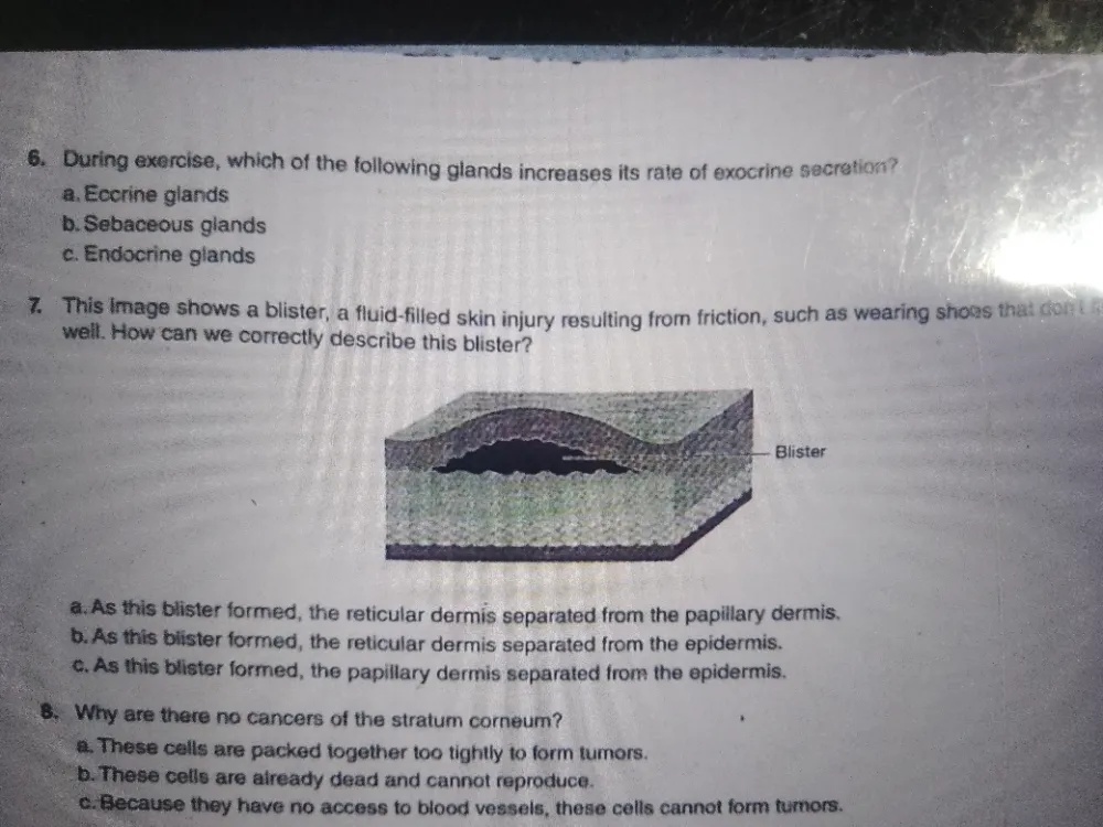 7 This Image shows a blister a fluid-filled | StudyX