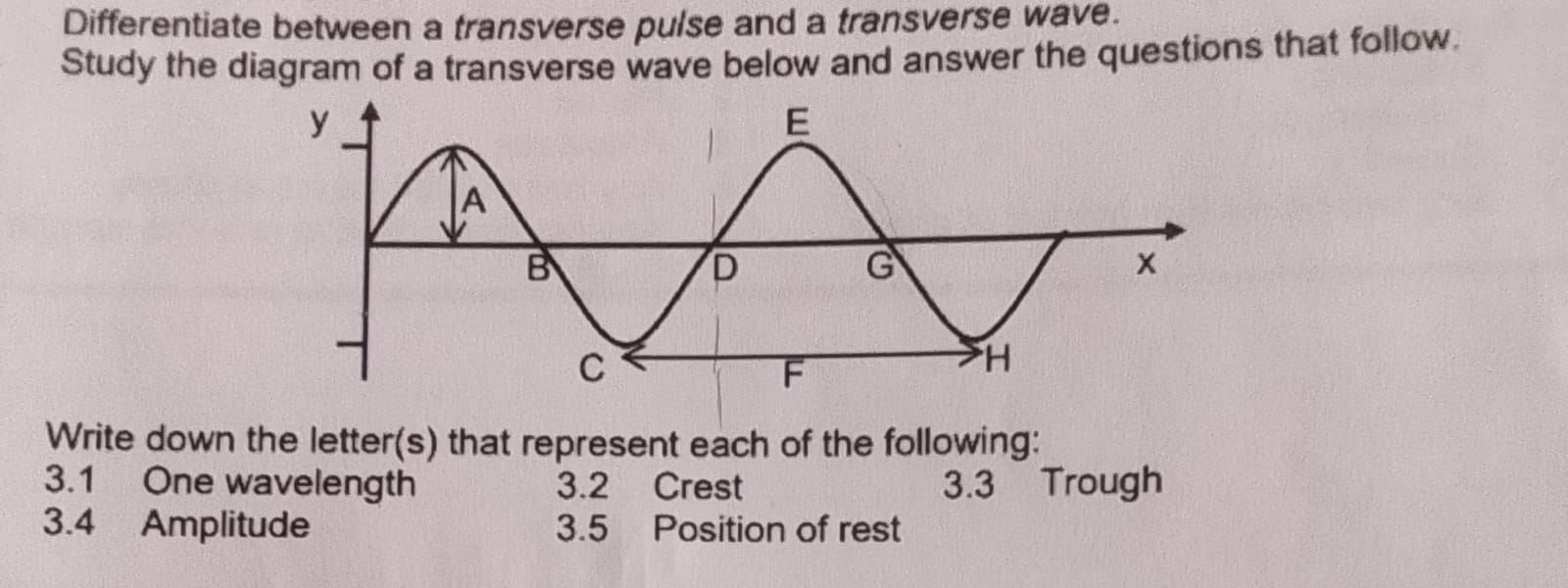 Differentiate between a transverse pulse and | StudyX