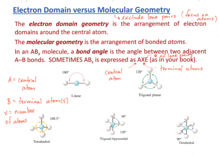 Electron Domain versus Molecular Geometry | StudyX