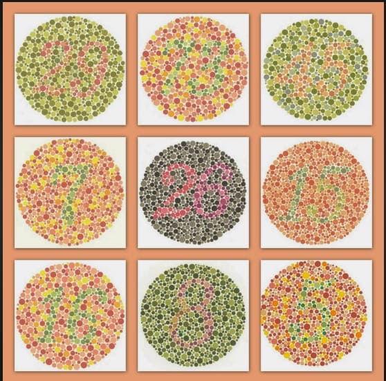 This image displays a set of Ishihara color | StudyX
