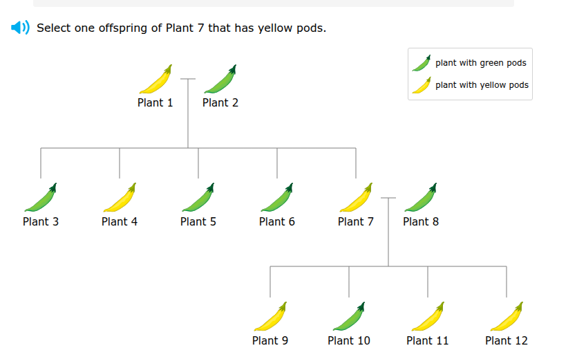Select one offspring of Plant 7 that has | StudyX