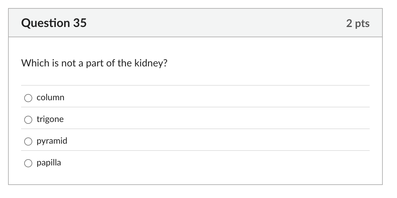 Which is not a part of the kidney? column | StudyX