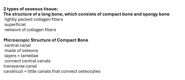 35. Differentiate between spongy compact | StudyX