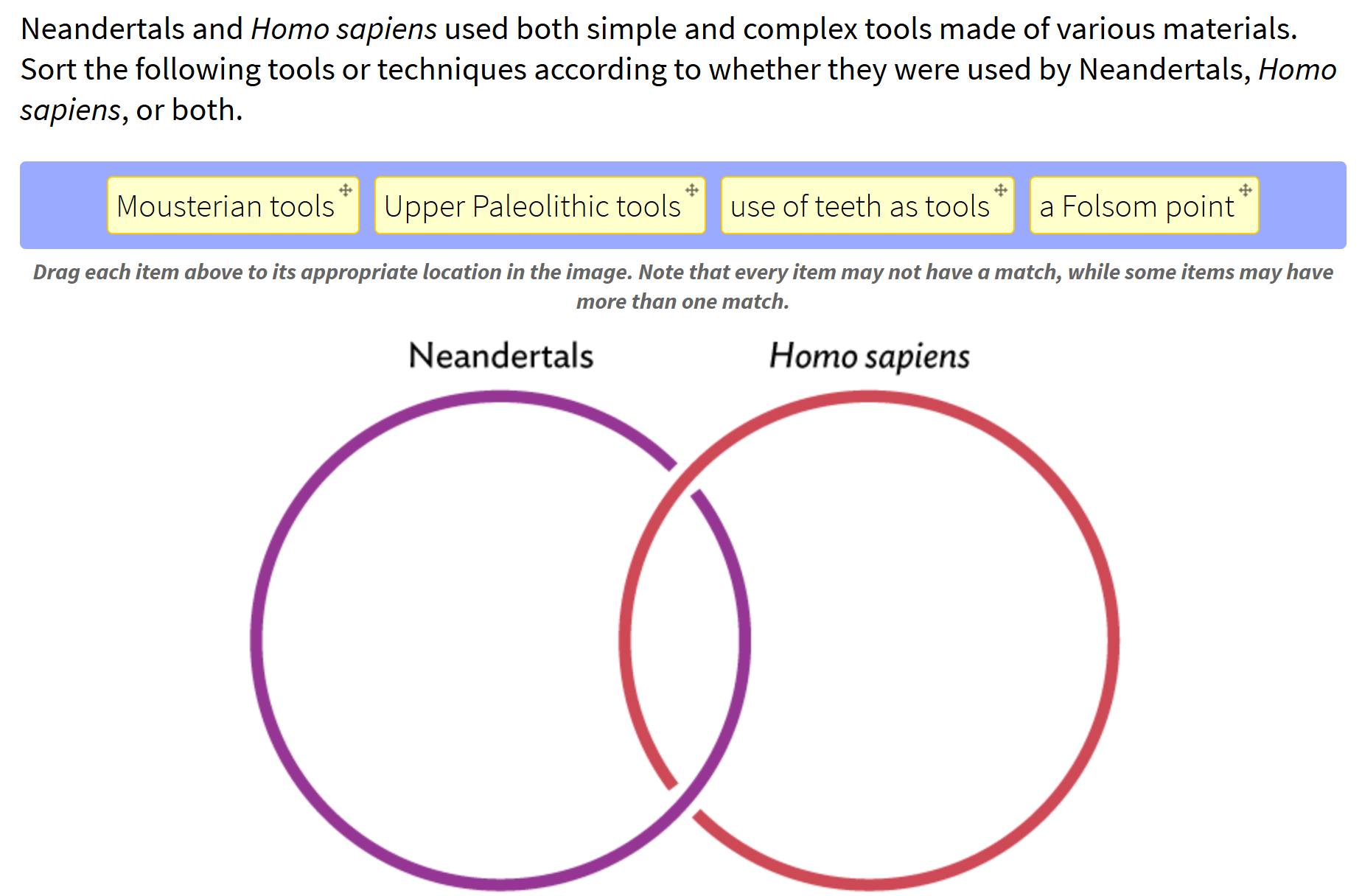 Neandertals and *Homo sapiens* used both | StudyX