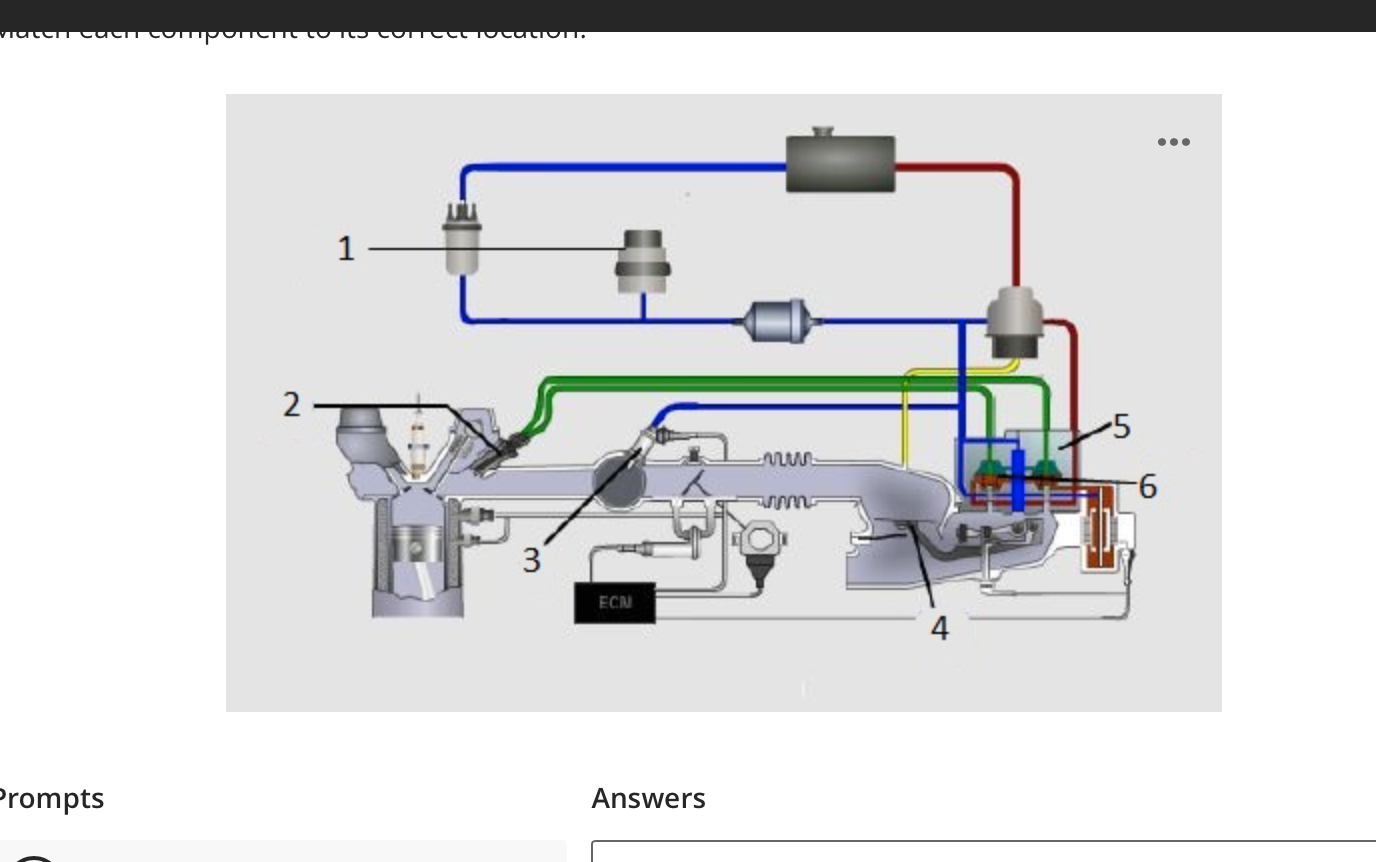 Match each component to its correct | StudyX