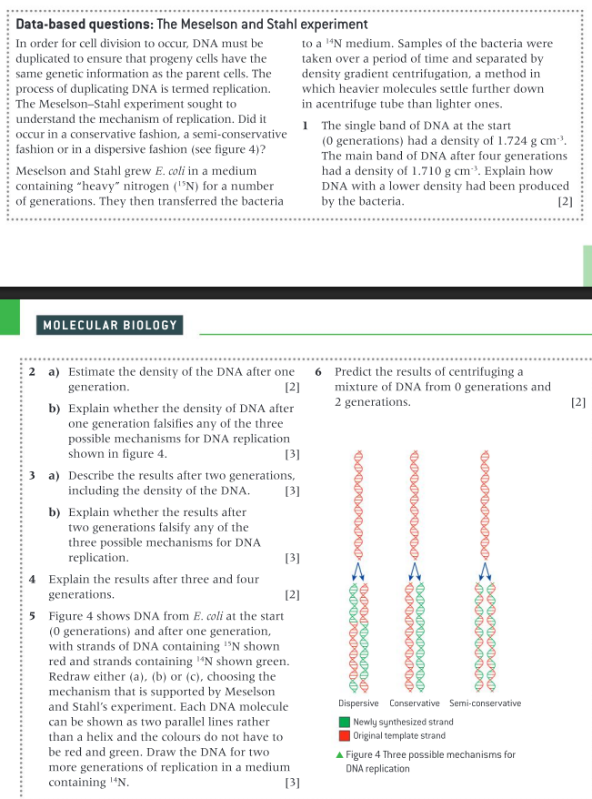 Data-based questions: The Meselson and Stahl | StudyX