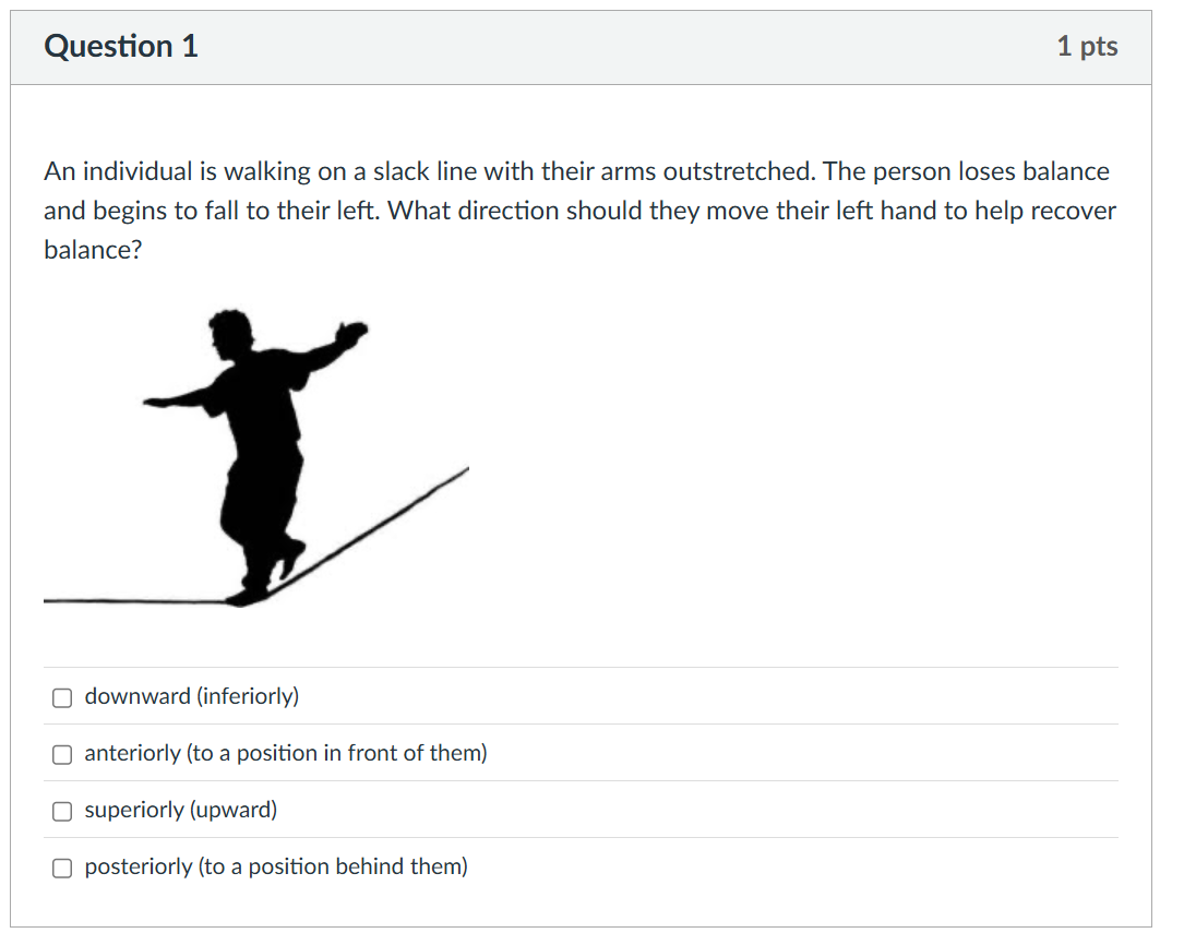 An individual is walking on a slack line | StudyX