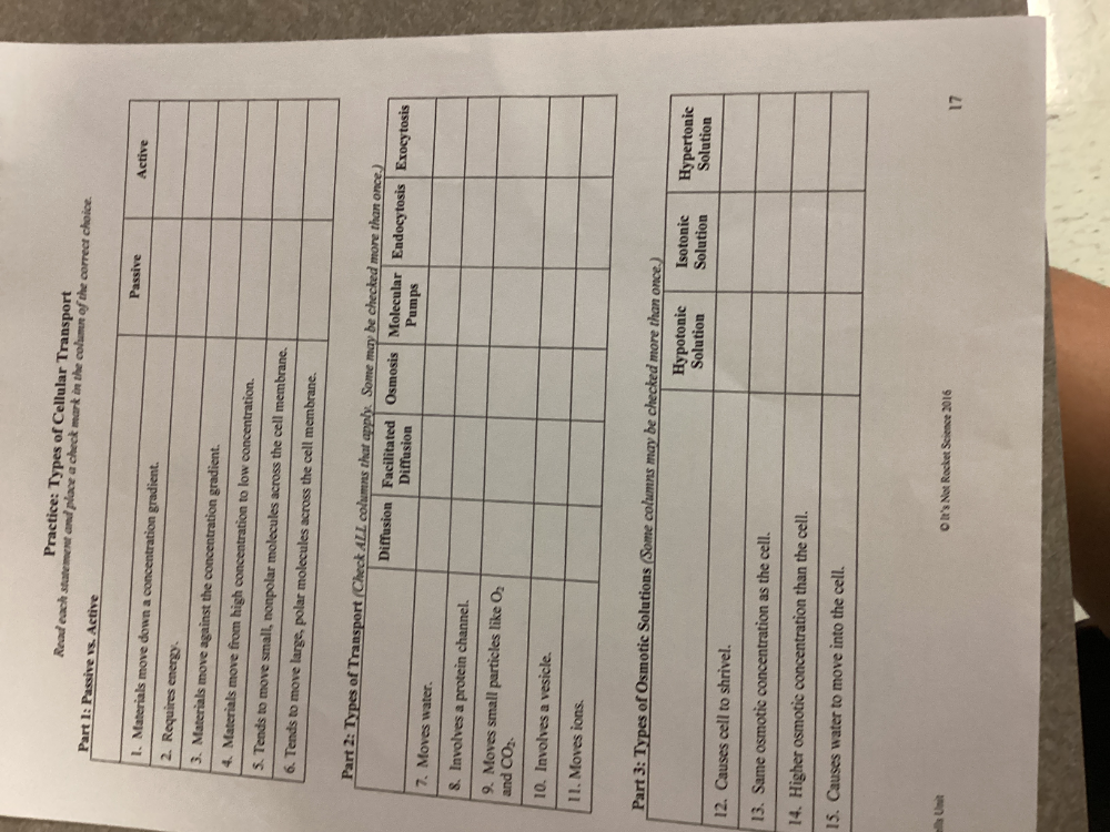 Practice: Types of Cellular Transport Read | StudyX