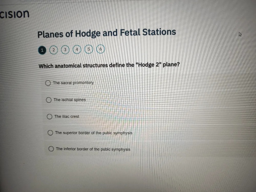 Planes of Hodge and Fetal Stations 1 2 3 4 | StudyX
