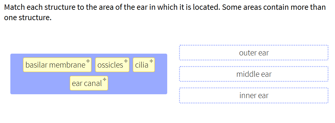 Match each structure to the area of the ear | StudyX