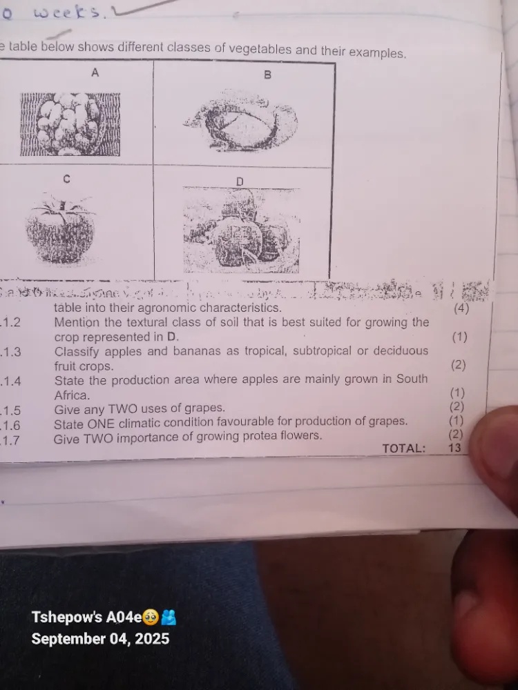 The table below shows different classes of | StudyX