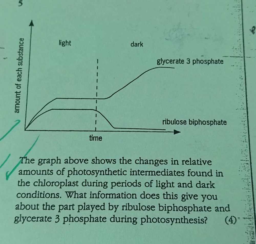 The graph above shows the changes in | StudyX
