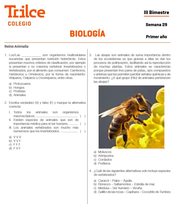 1. Los/Las __________ son organismos | StudyX