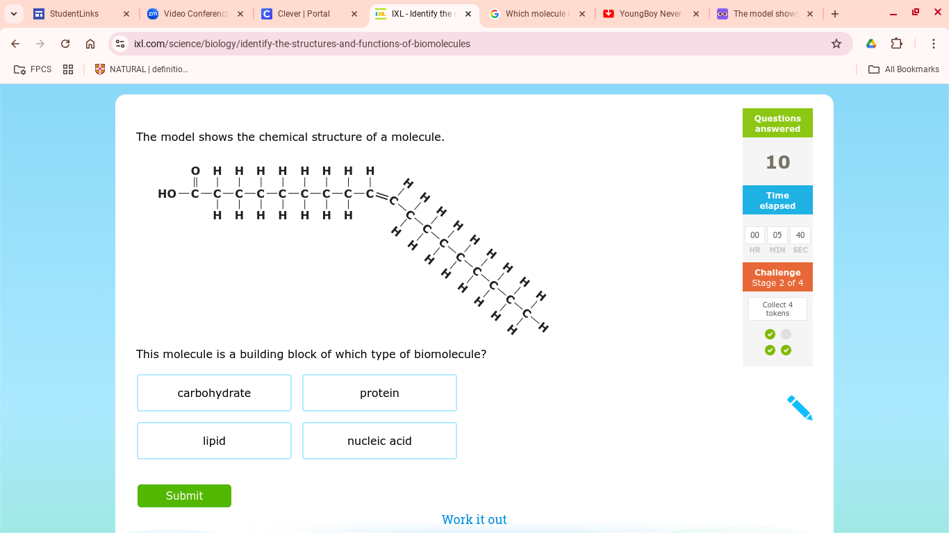 The model shows the chemical structure of a | StudyX