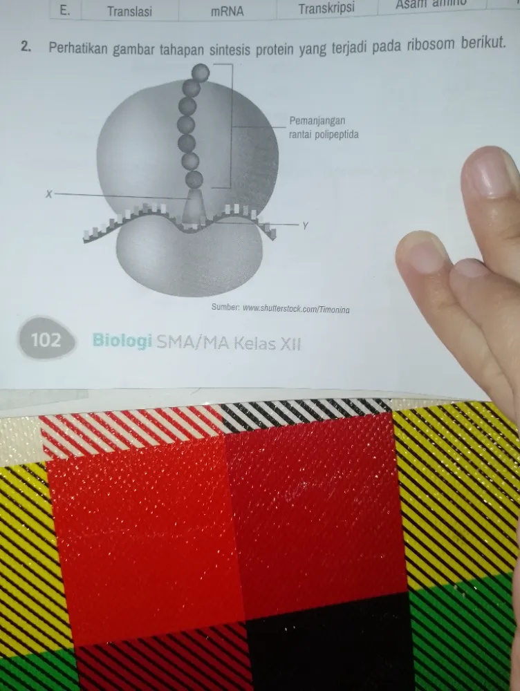 2. Perhatikan gambar tahapan sintesis | StudyX