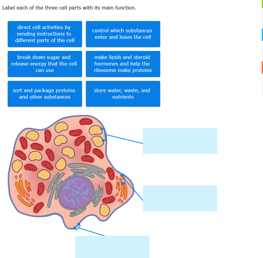 Label each of the three cell parts with its | StudyX