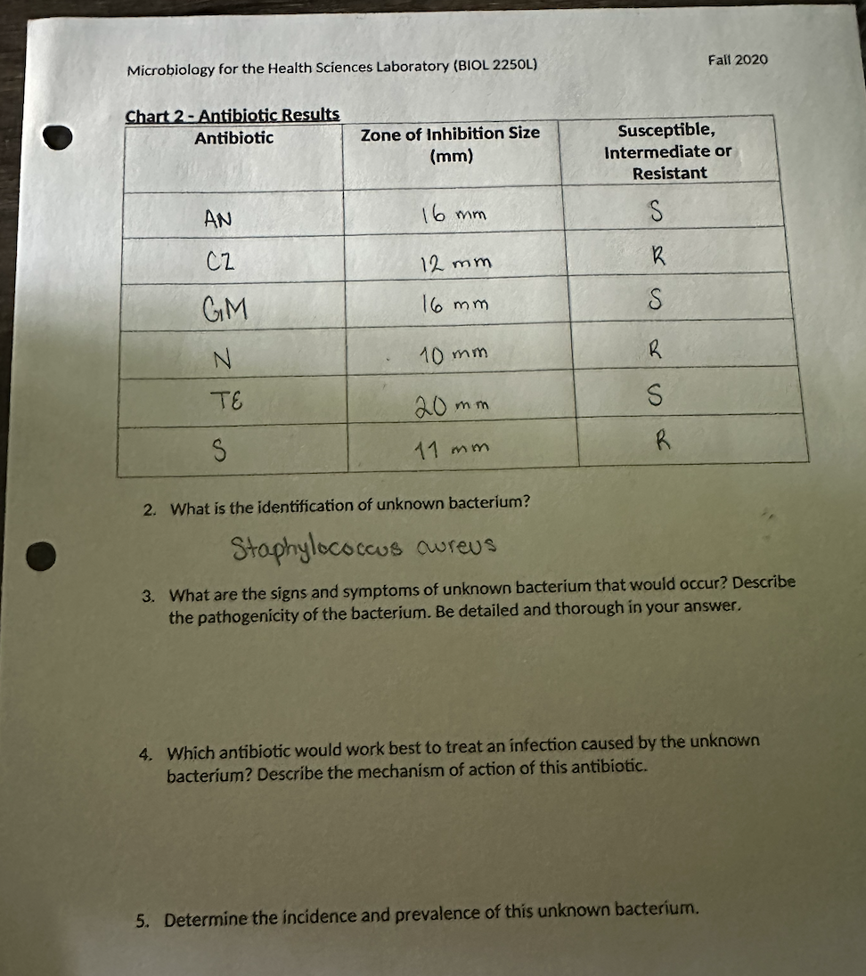 Chart 2 - Antibiotic Results | Antibiotic | | StudyX