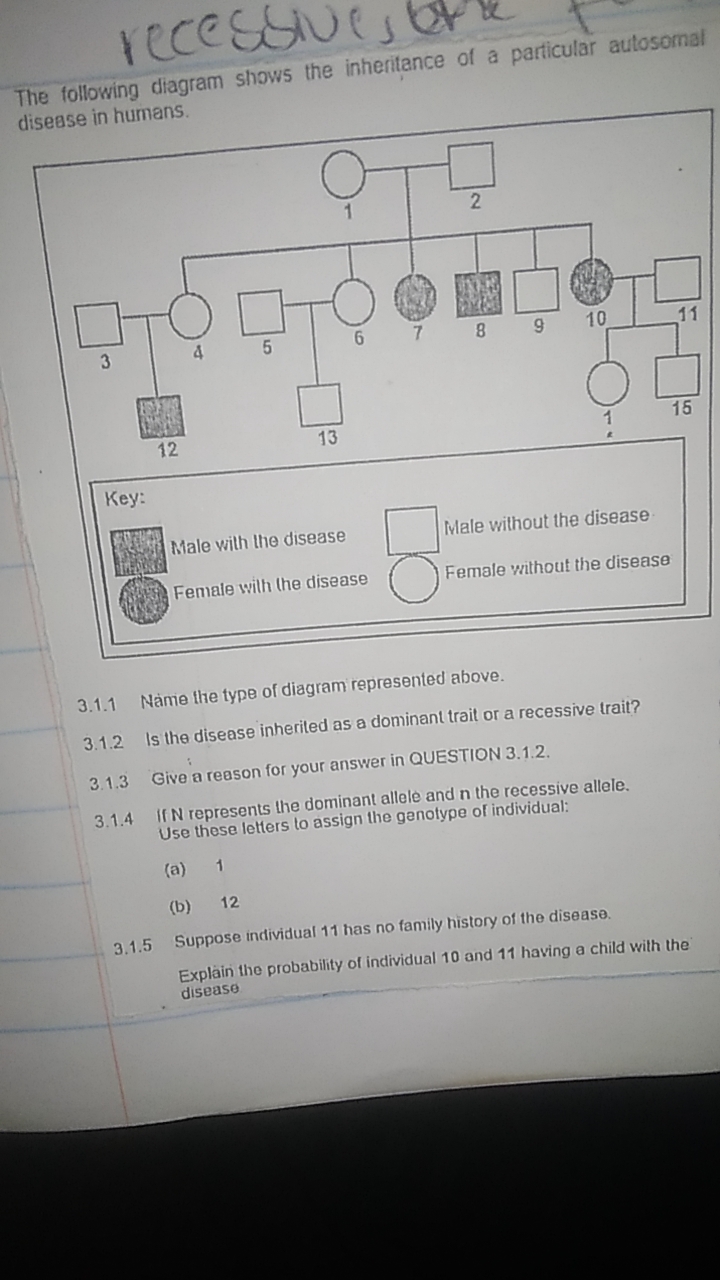 The following diagram shows the inheritance | StudyX