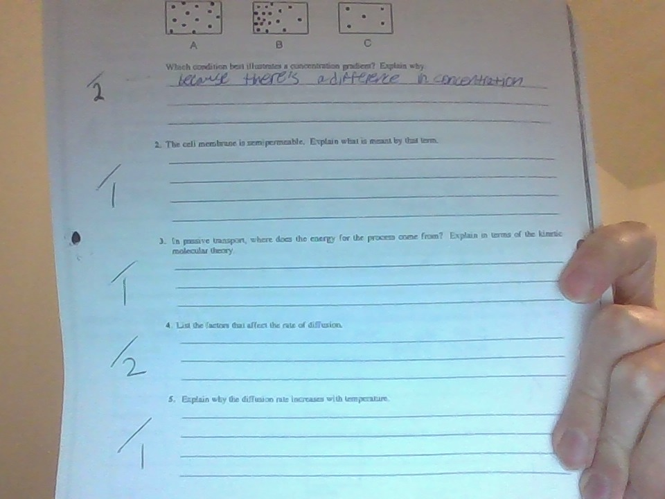1. Which condition best illustrates a | StudyX