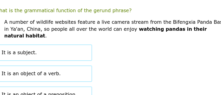 What is the grammatical function of the | StudyX