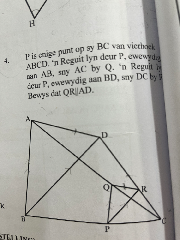 P is enige punt op sy BC van vierhoek ABCD. | StudyX