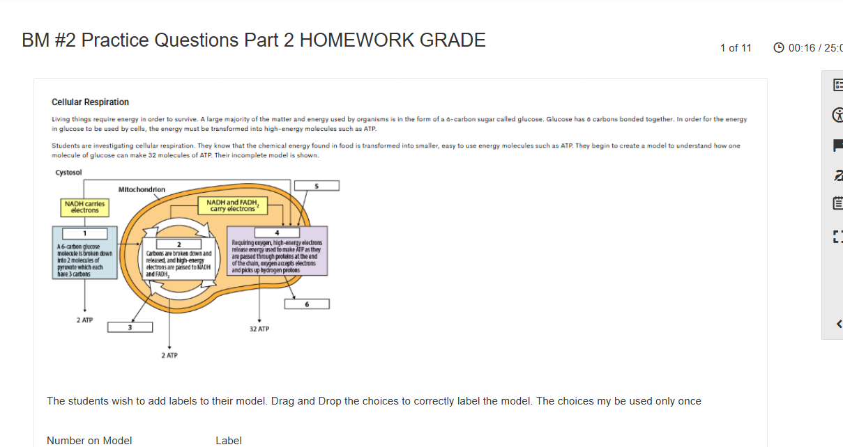 The students wish to add labels to their | StudyX