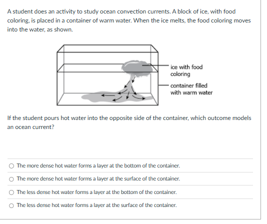 A student does an activity to study ocean | StudyX