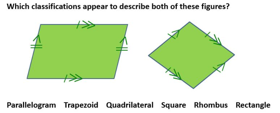 Which classifications appear to describe | StudyX