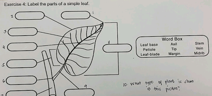 Exercise 4: Label the parts of a simple | StudyX