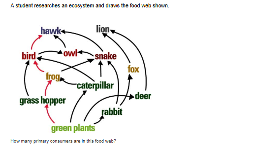 A student researches an ecosystem and draws