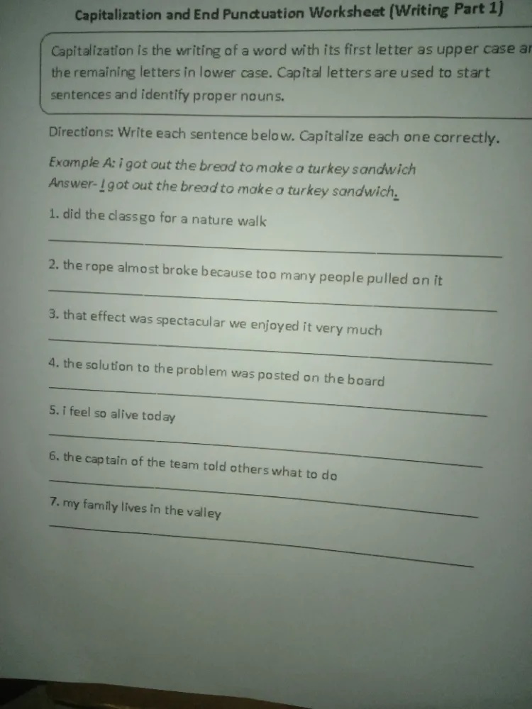 Capitalization and End Punctuation Worksheet | StudyX