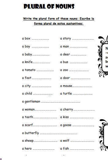 PLURAL OF NOUNS Write the plural form of | StudyX