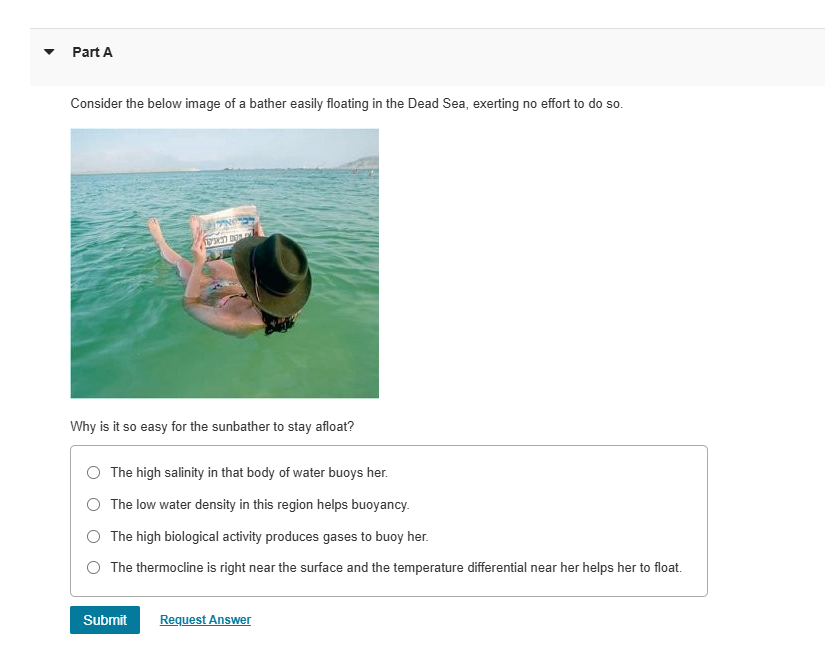 Consider the below image of a bather easily | StudyX