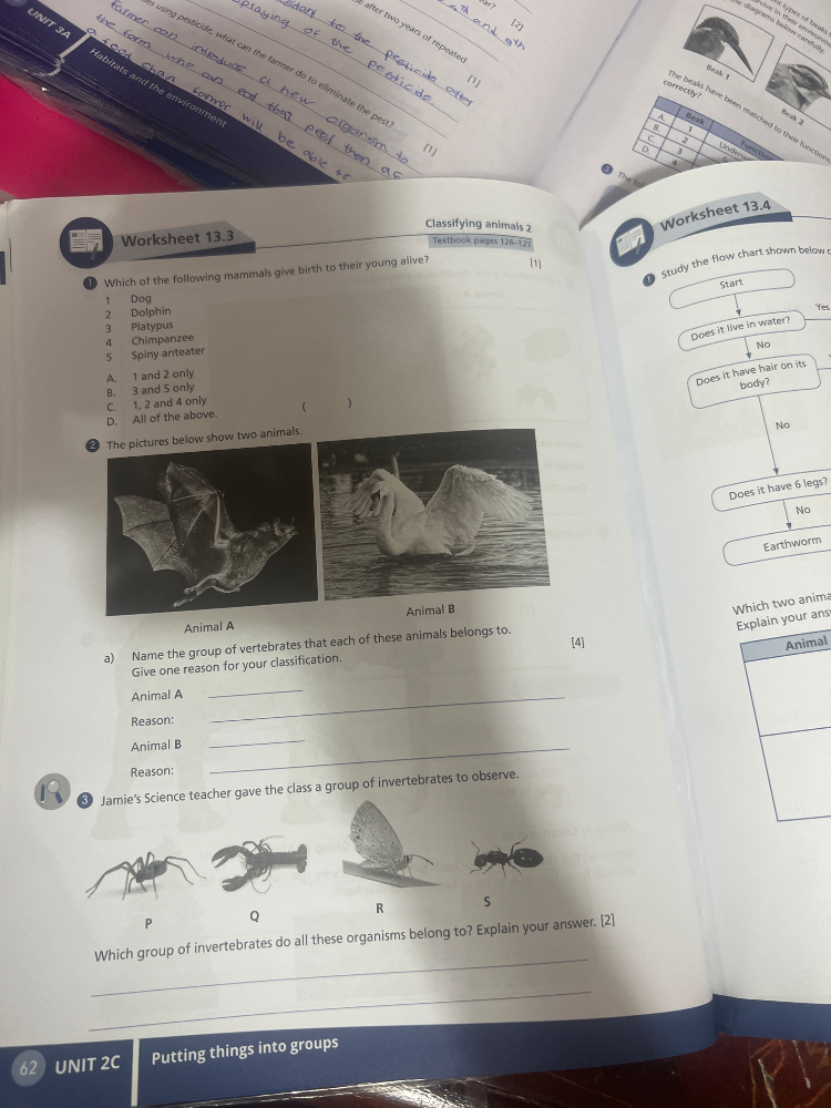 1. Which of the following mammals give birth | StudyX