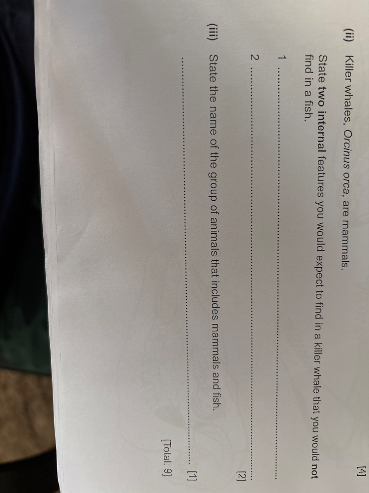 (ii) Killer whales, Orcinus orca, are | StudyX