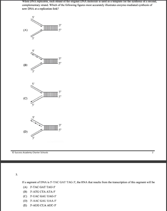 When DNA replicates, each strand of the | StudyX
