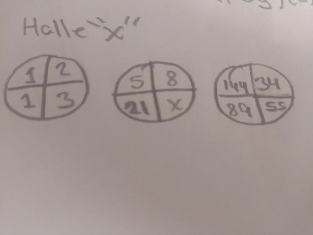 Halle "X" There are three circles divided | StudyX