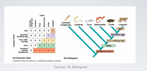 The image presents a character table and a | StudyX