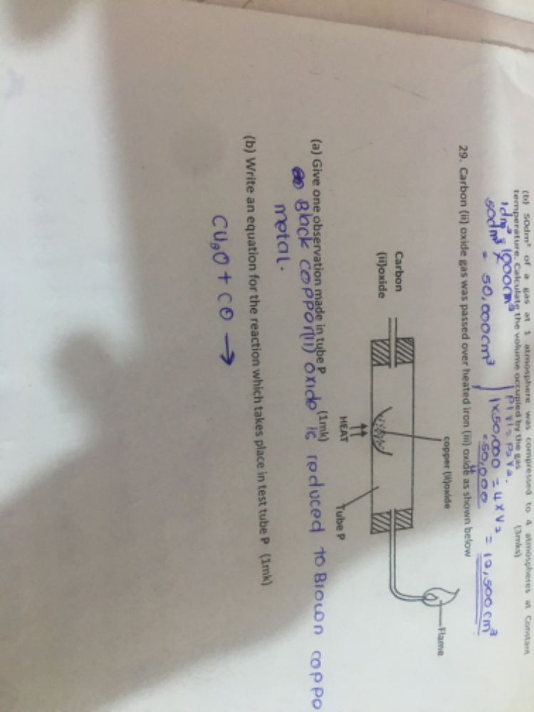 (a) Give one observation made in tube P | StudyX